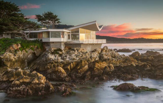 Throwback Thursday: Frank Wynkoop & The Butterfly House