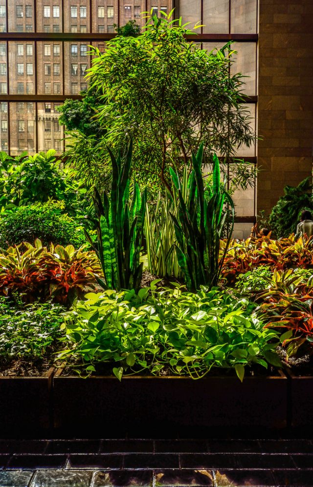 Retro Road Trip: Manhattan’s Iconic Atrium in the Ford Foundation Building