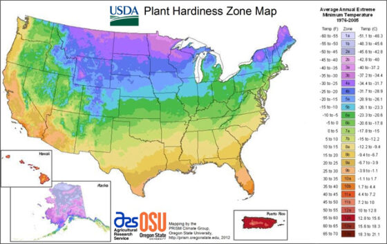 Know Your Zone! Pick Plants for Your Climate Zone - Atomic Ranch