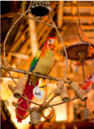 The History of Walt Disney’s Enchanted Tiki Room - Atomic Ranch