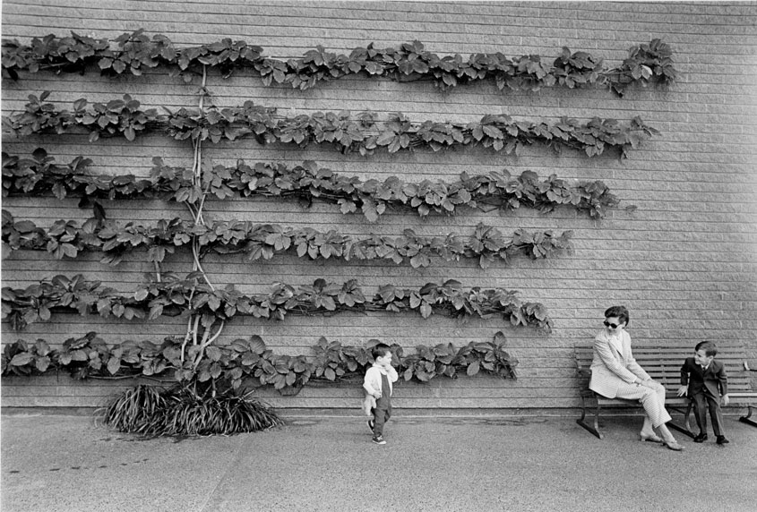 Landscape Maven: Ruth Shellhorn - Atomic Ranch