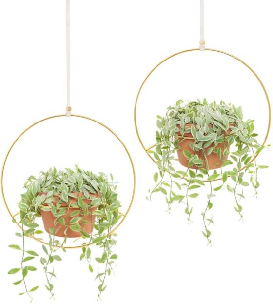 The Perfect Mid Mod Gifts For The Plant Lover - Atomic Ranch