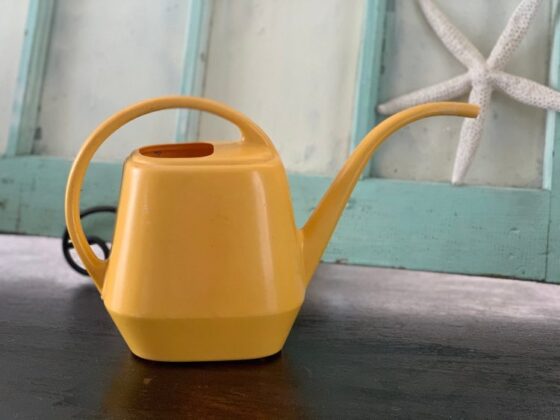 The Perfect Mid Mod Gifts For The Plant Lover - Home