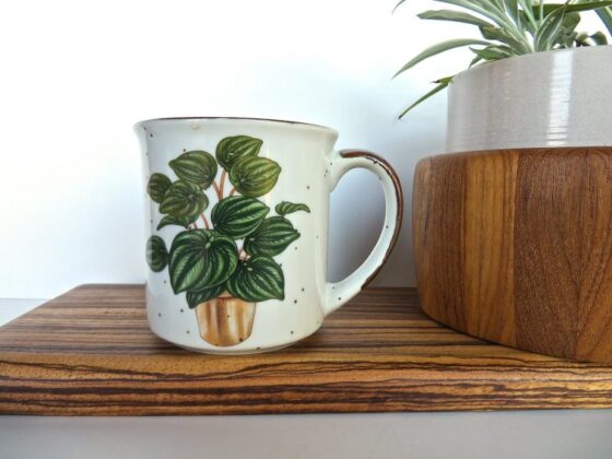 The Perfect Mid Mod Gifts For The Plant Lover - Home