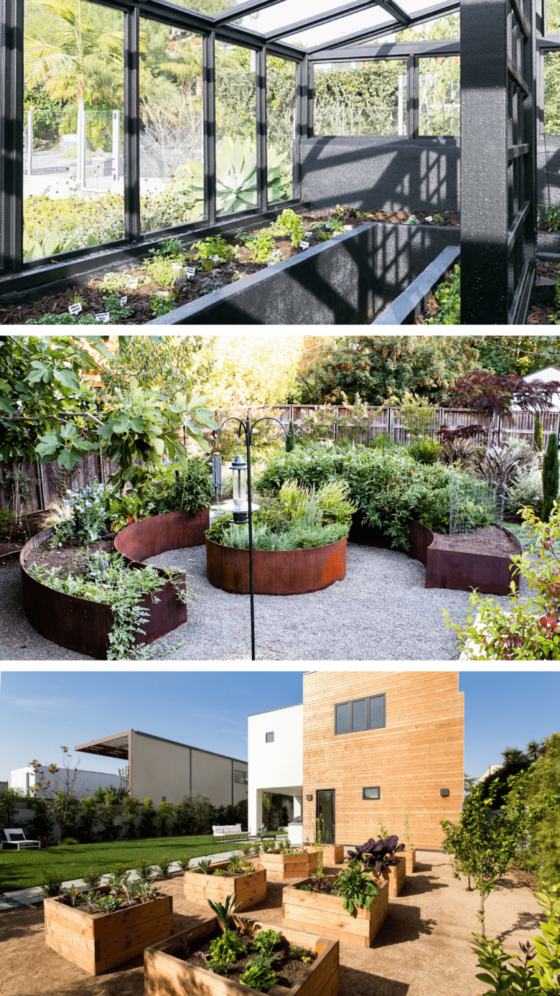 Your Modern Vegetable Garden Guide