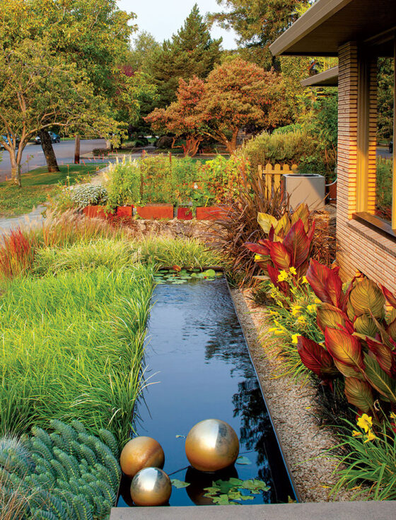 Hedge of Your Seat: Modern Hedges & Border Planting Ideas - Atomic Ranch