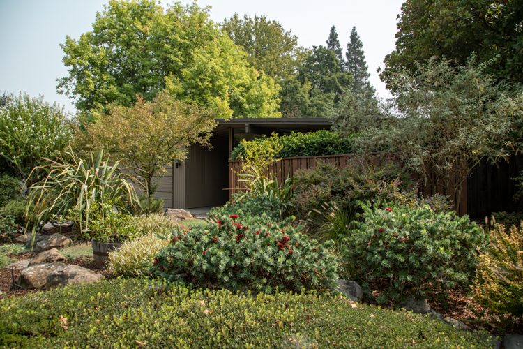 Overgrown Landscaping - Home