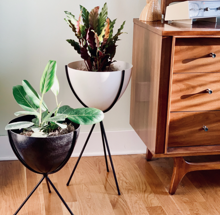 Bullet Planter Basics + A Few Of Our Favorites - Atomic Ranch
