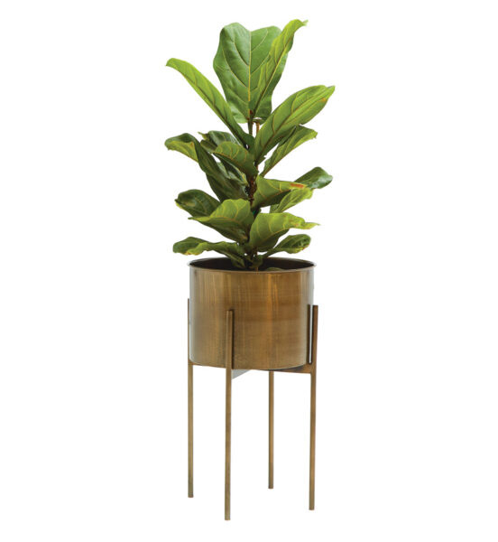 Mid Mod Planters and Watering Cans - Atomic Ranch