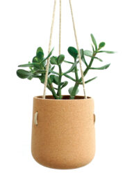 Mid Mod Planters and Watering Cans - Home