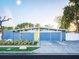 MCM Atrium: A Dry Garden Makeover - Home