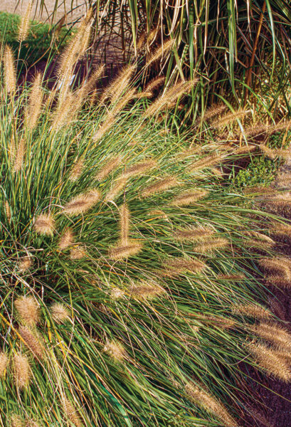 An Excellent Exterior - Atomic Ranch