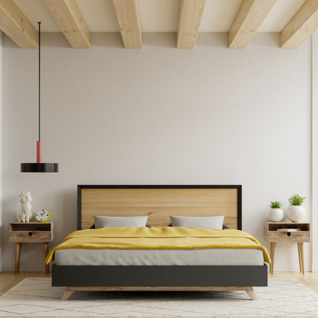 Atomic Ranch — The Trusted Resource for Mid Mod Design - Home