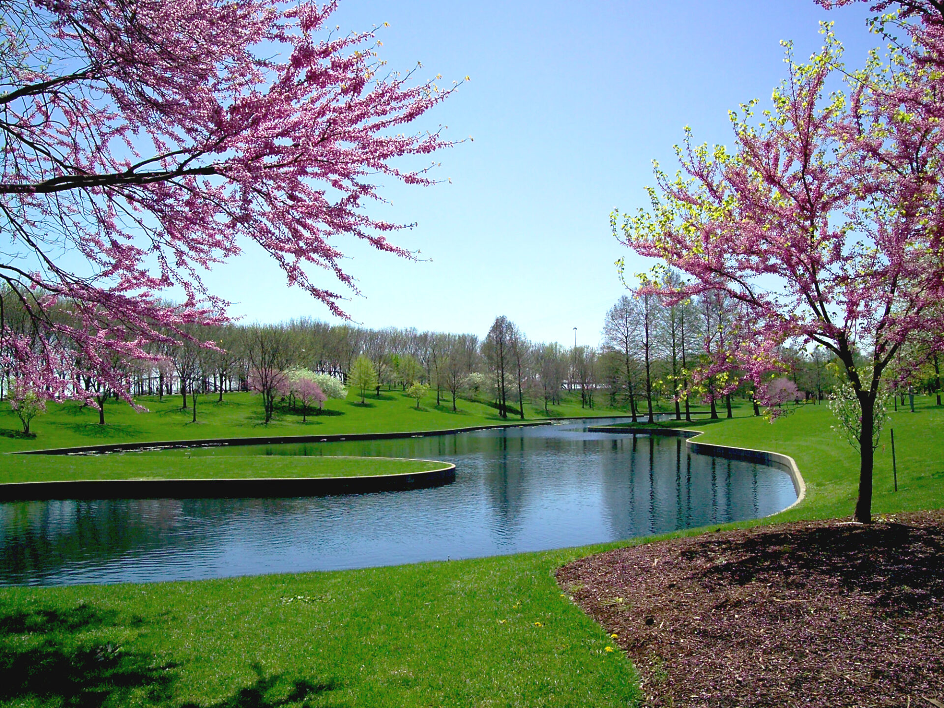 An MCM Landscape that Bridges Styles & Seasons - Atomic Ranch