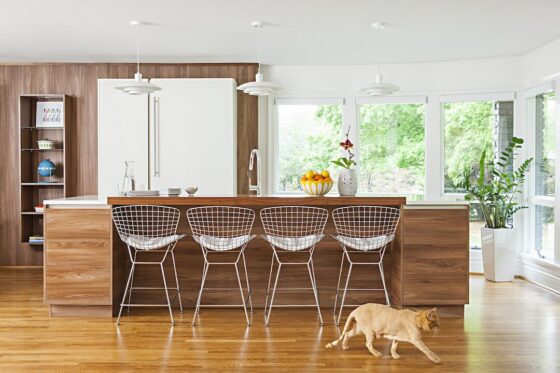 Balancing Preservation and Renovation - Atomic Ranch