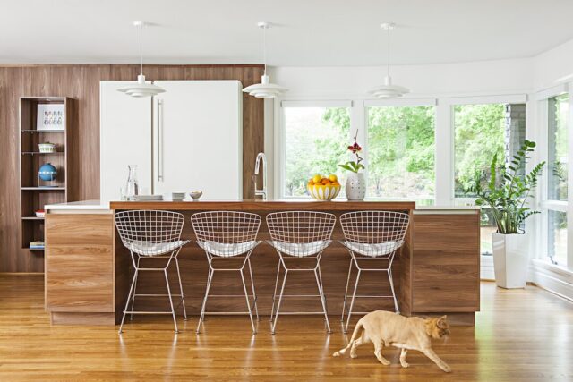 Balancing Preservation and Renovation - Atomic Ranch