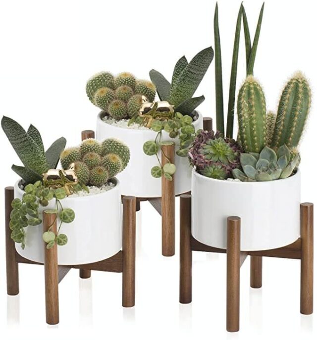How to Decorate MCM on a Budget - Atomic Ranch