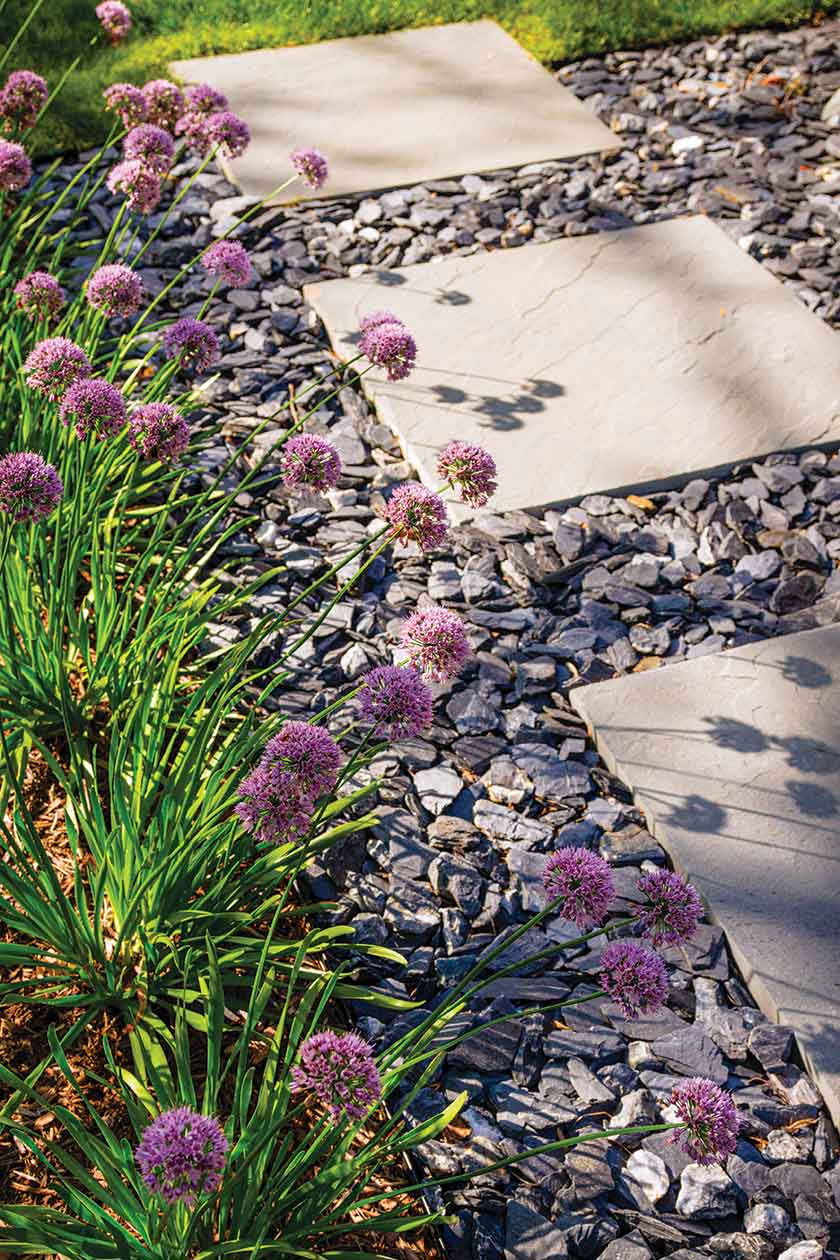 Designing a Non-Desert MCM Landscape - Atomic Ranch