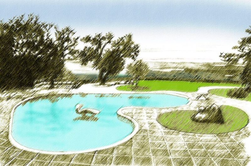 Dip Into Thomas Church's Fantastic Pool Design - Atomic Ranch