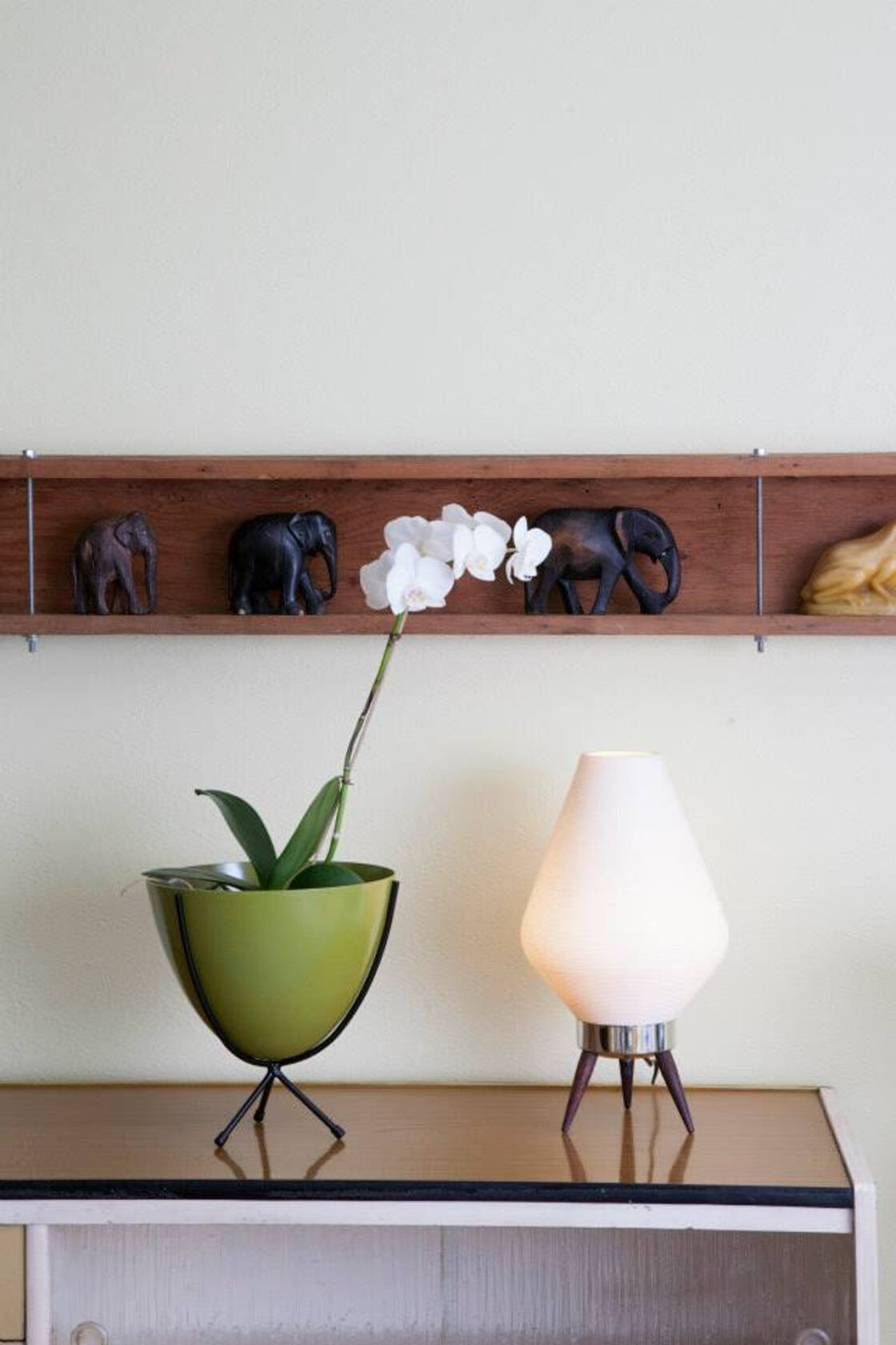Bullet Planter Basics + A Few Of Our Favorites - Atomic Ranch