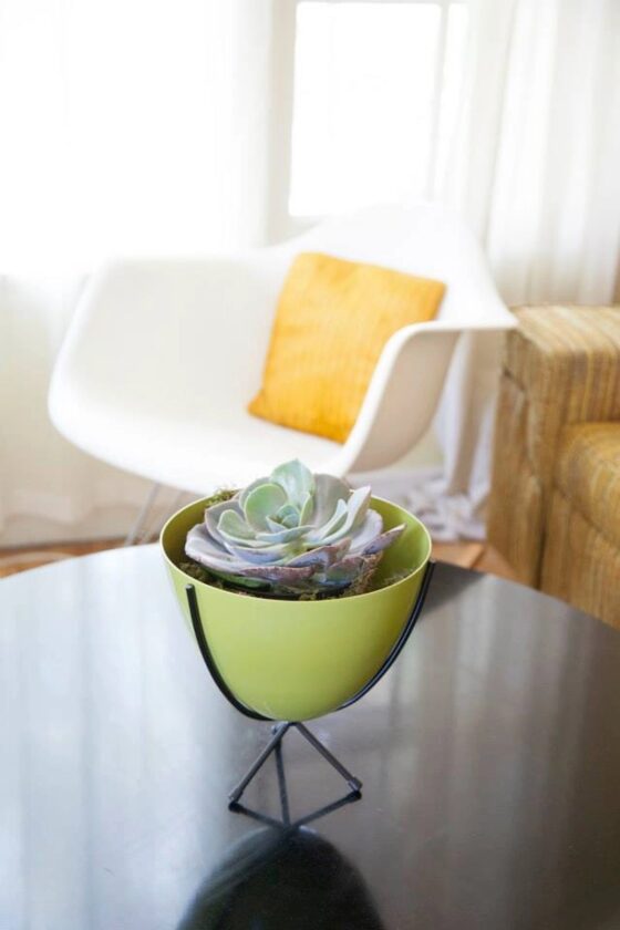 The Perfect Mid Mod Gifts For The Plant Lover - Atomic Ranch