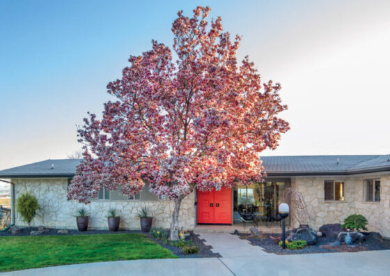 Past Perfected in a 1965 Boise Home - Atomic Ranch