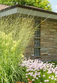 Mid Century Modern Landscaping in a Midwestern Climate - Atomic Ranch