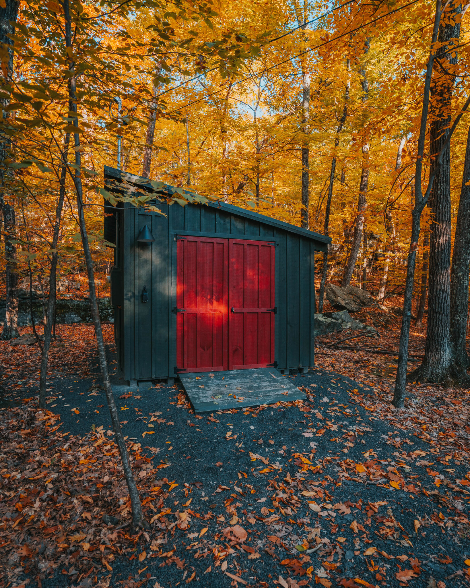 A Neglected Ranch Deck Home Elevated to Colorful MCM Gem - Atomic Ranch