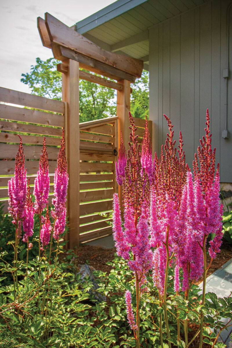 An MCM Landscape that Bridges Styles & Seasons - Atomic Ranch