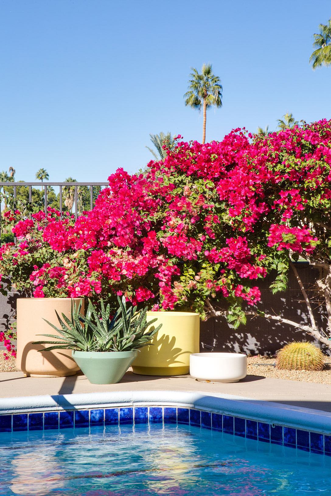 MCM Essentials for a Backyard Bash - Atomic Ranch